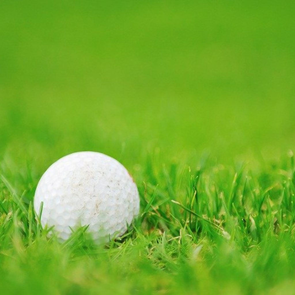 How-many-dimples-are-on-a-regulation-golf-ball-1 - Nación Golf